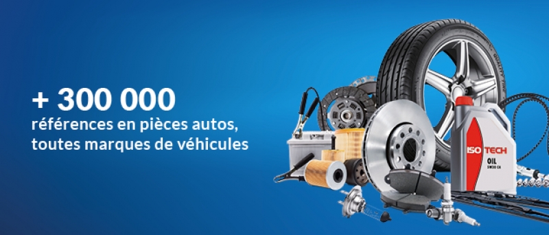 autodistribution martinique - Les meilleures pièces détachées auto aux ...